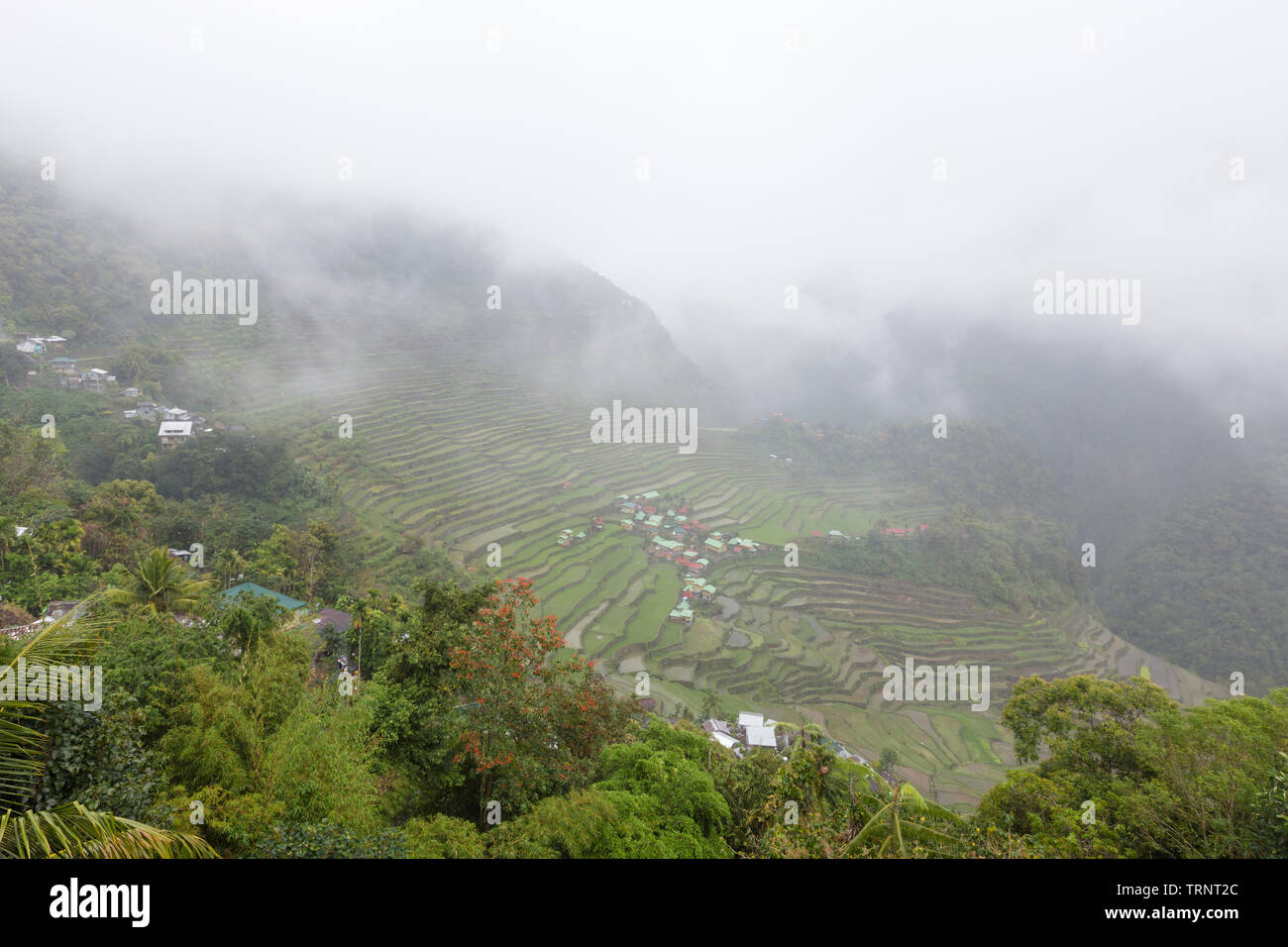 Batad rice terraces, near Banaue, Philippines Stock Photo - Alamy