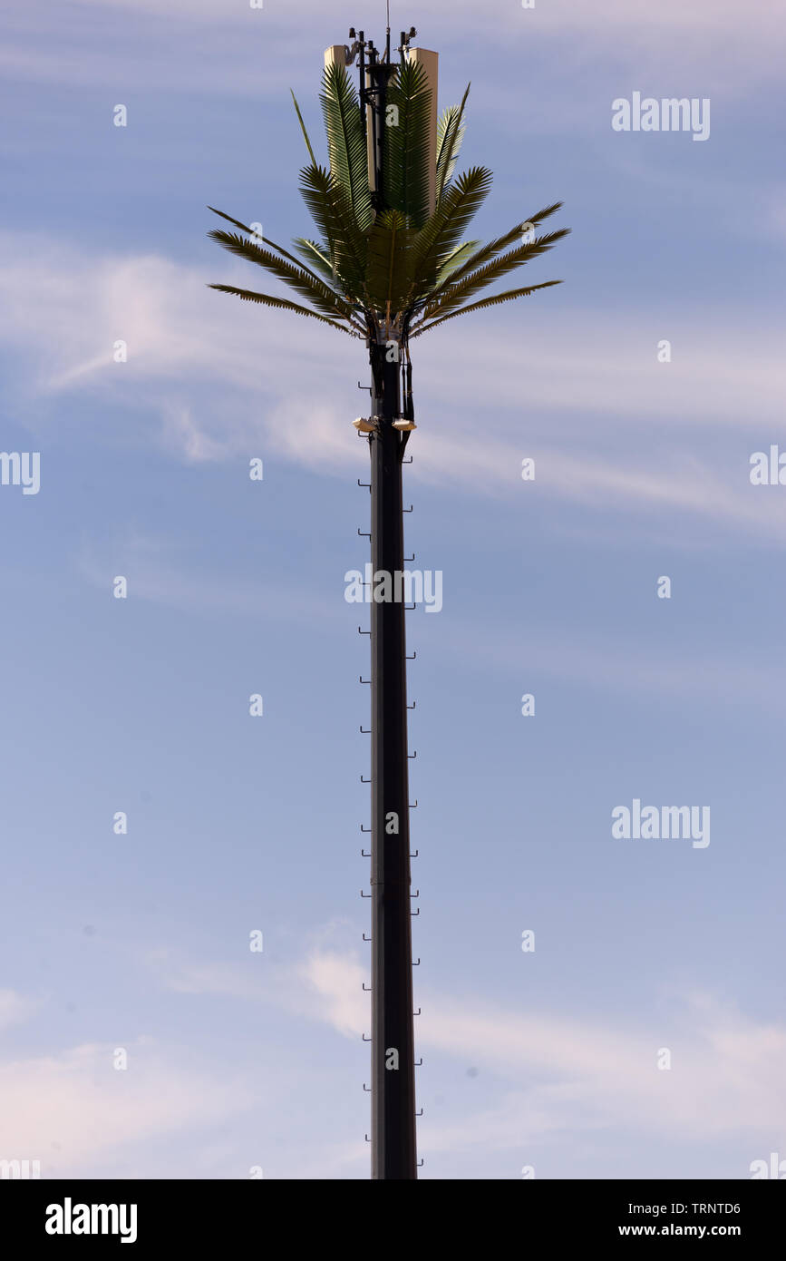 Transmission tower disguise hi-res stock photography and images - Alamy