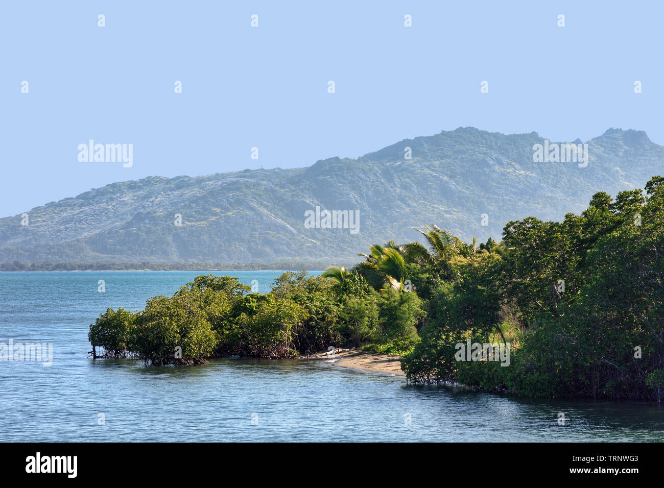 Mangroves at Port Denarau, Nadi, Fiji Island, South Pacific Stock Photo ...