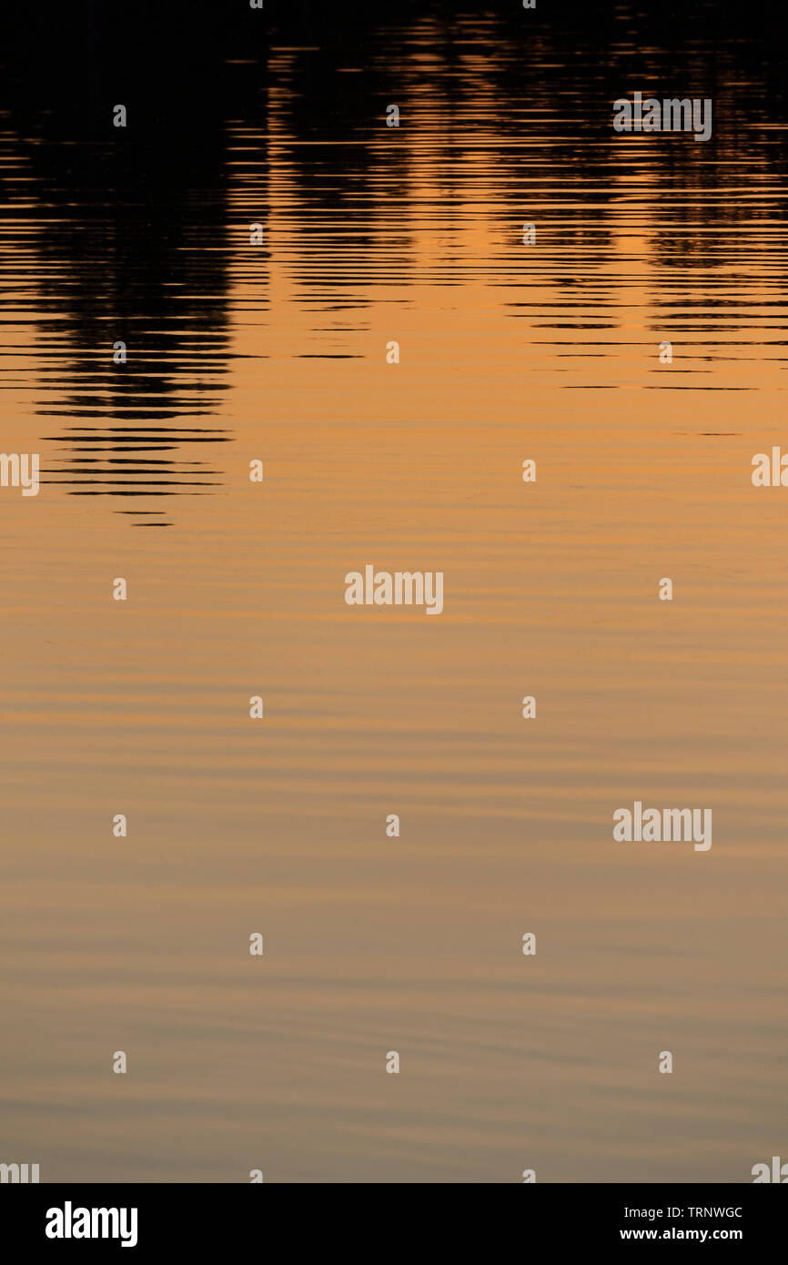 Sunset reflection on water with trees shadow Stock Photo - Alamy