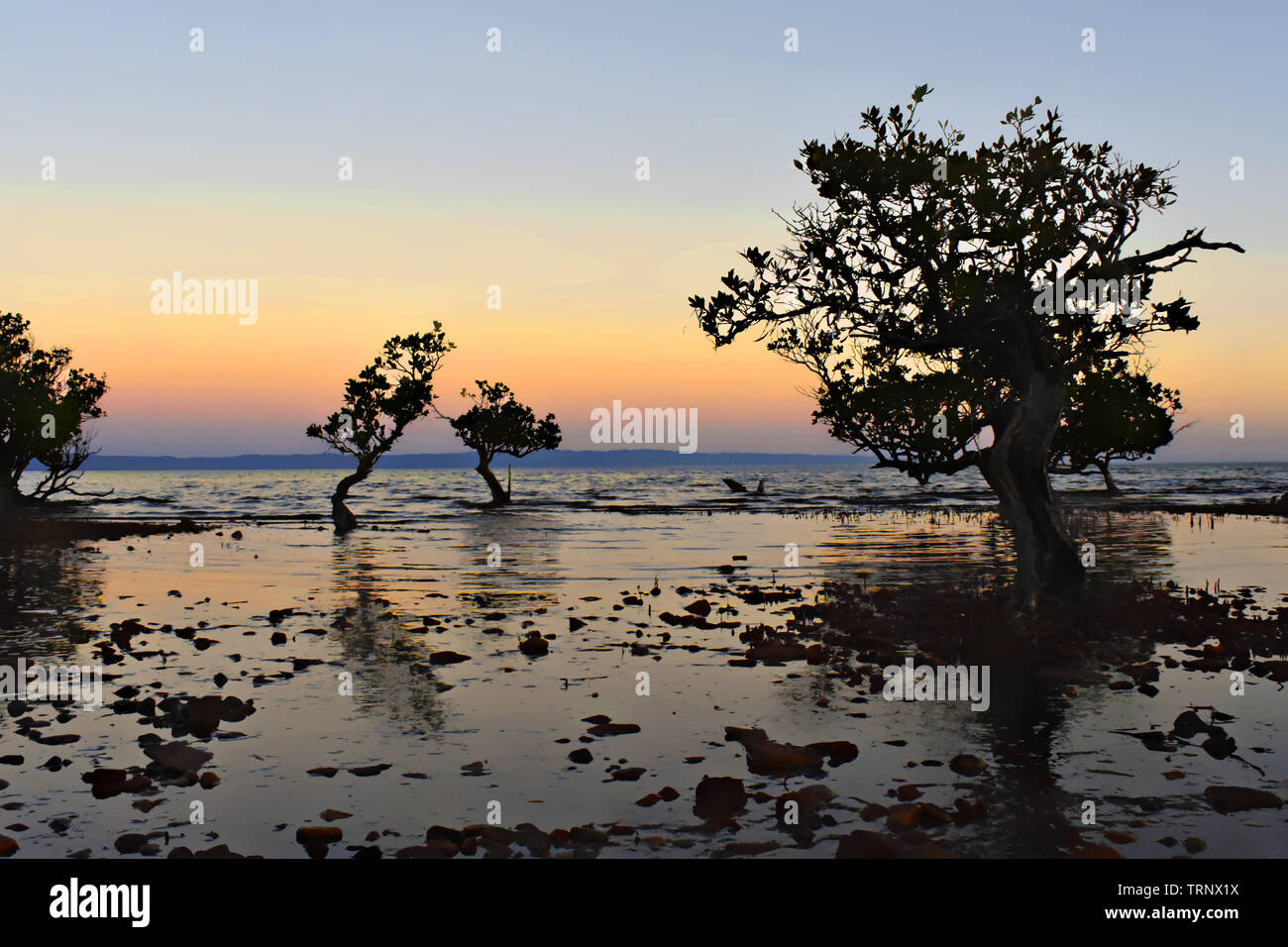 Whyalla hi-res stock photography and images - Alamy