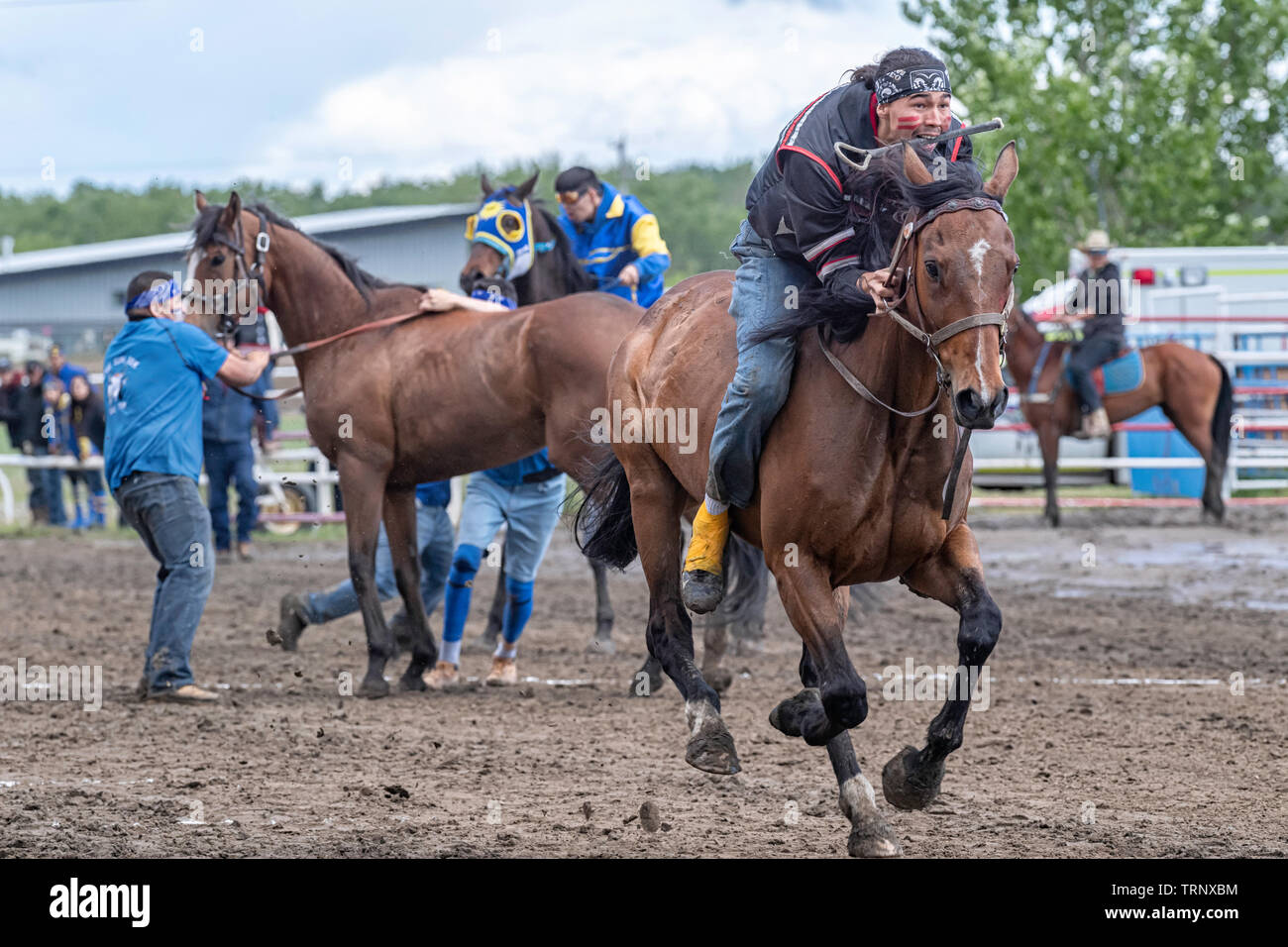 Alberta canada native hi-res stock photography and images - Alamy