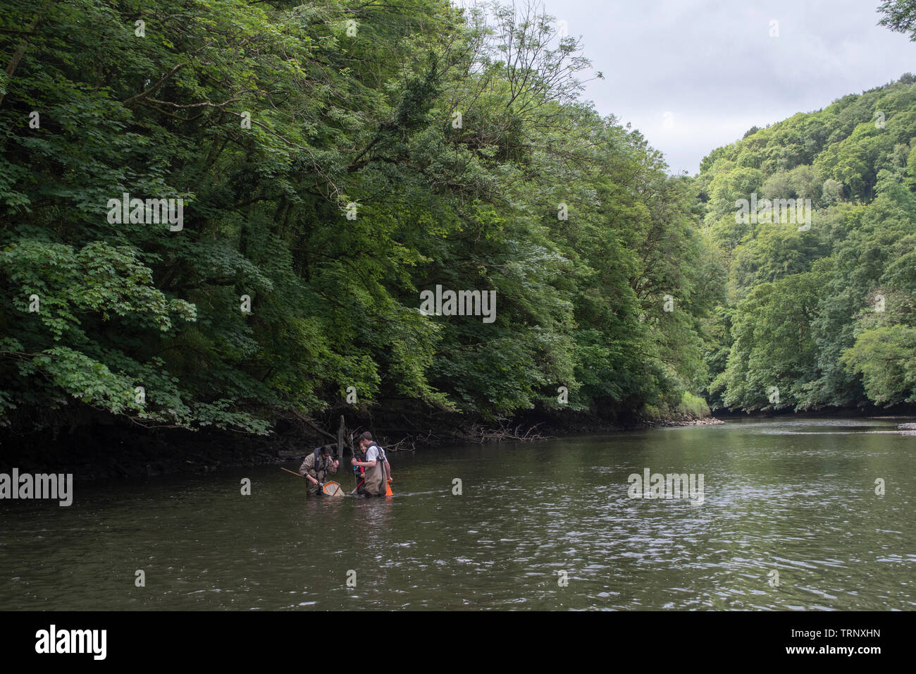 Kick sampling hi-res stock photography and images - Alamy