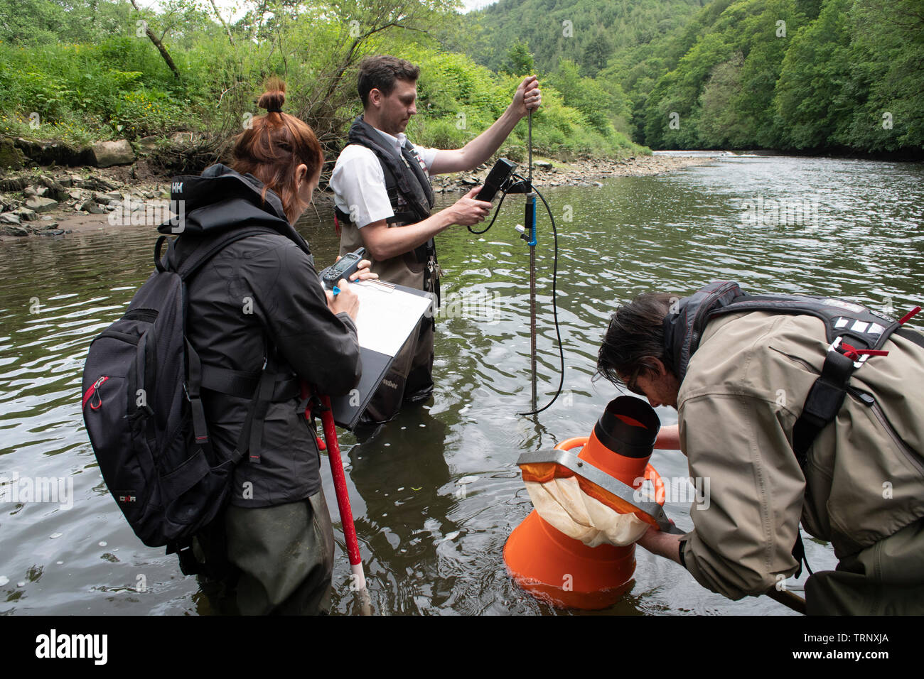Sampling the river Stock Photo - Alamy