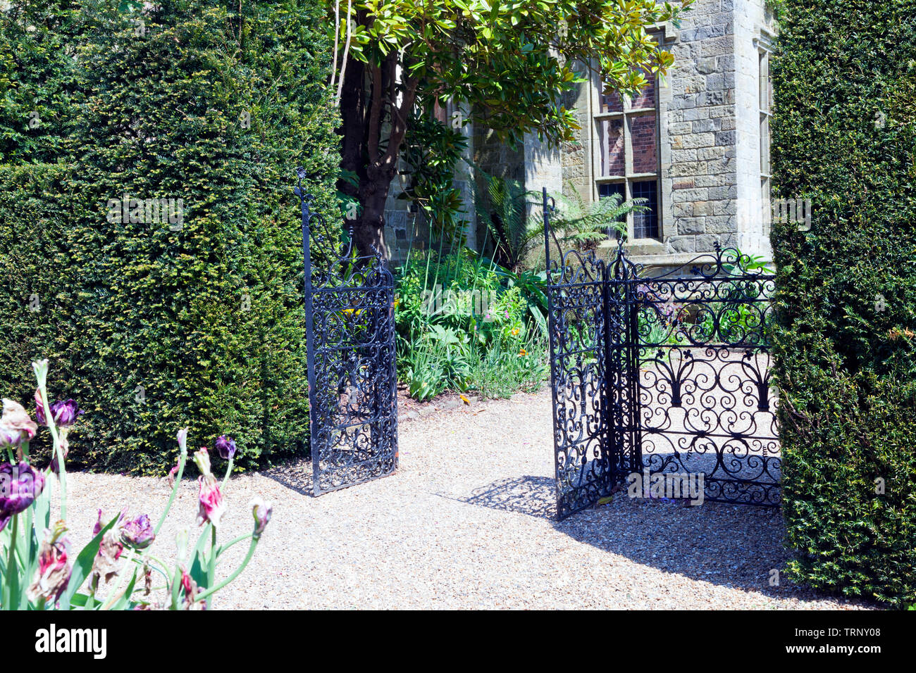 Opening in hedge hi-res stock photography and images - Alamy