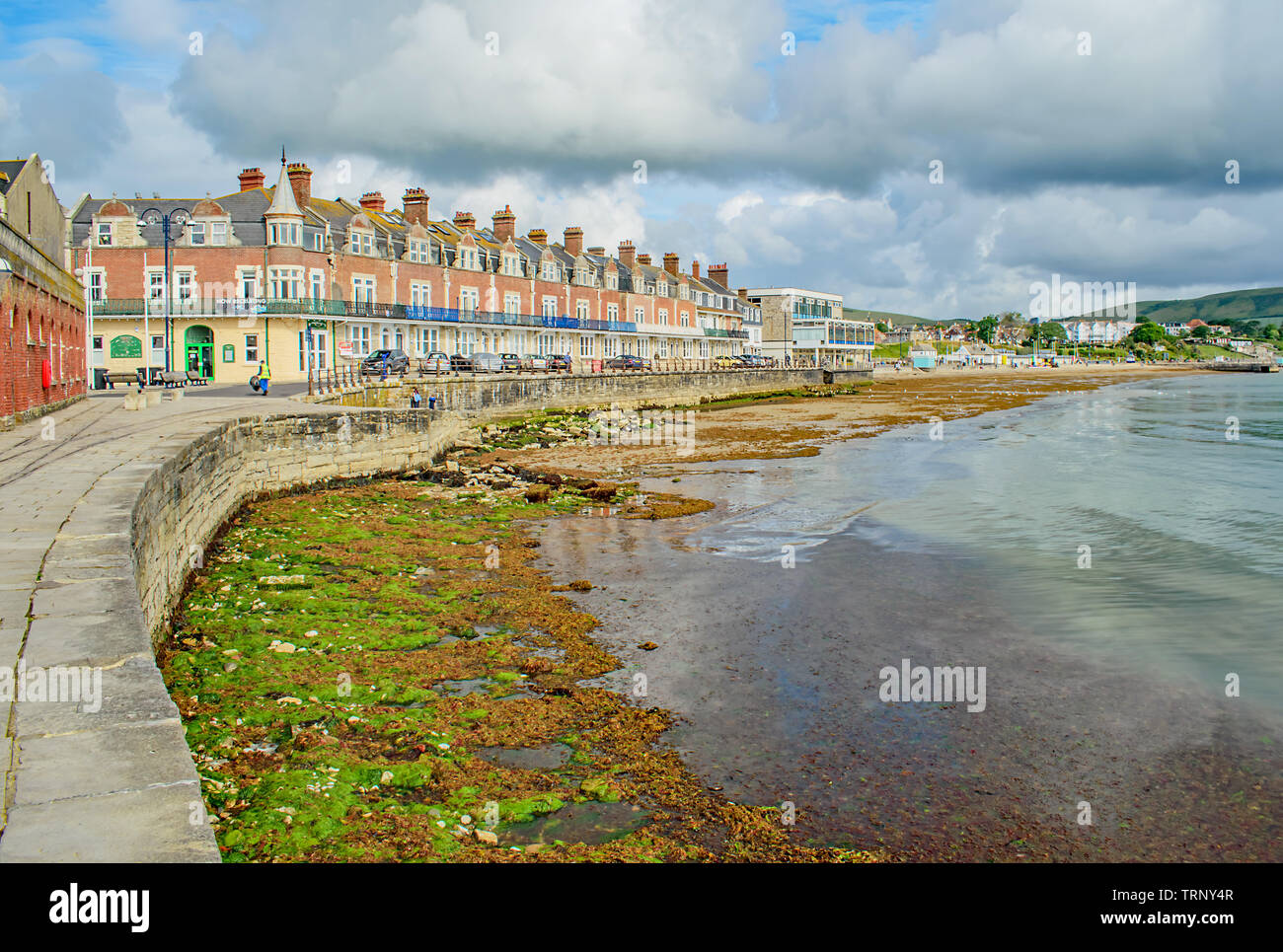 A view along the colourful seaweed strewn Swanage beach with a glassy ...