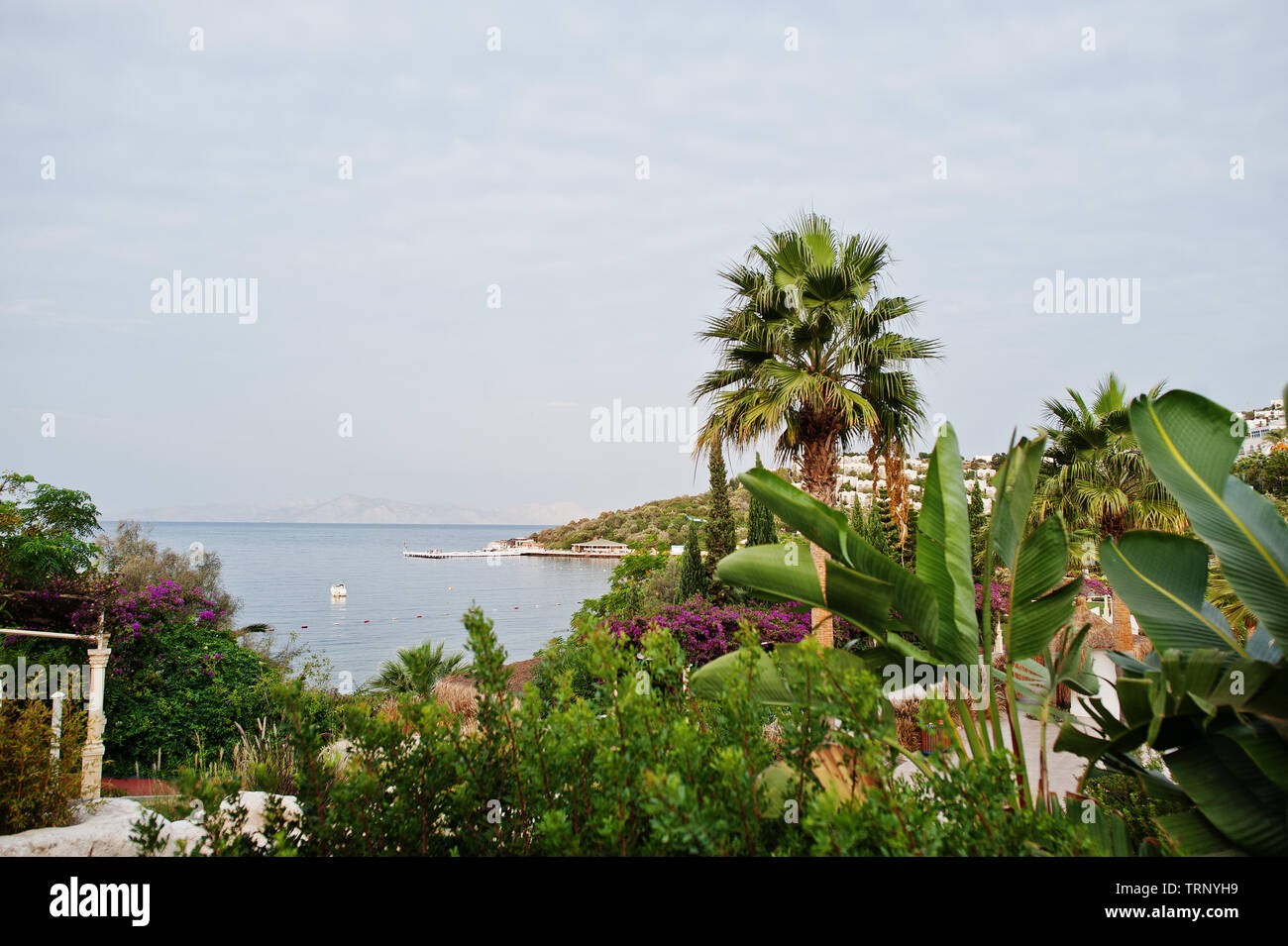 Beautiful tropical sea bay with palms. Scenic landscape with mountain ...