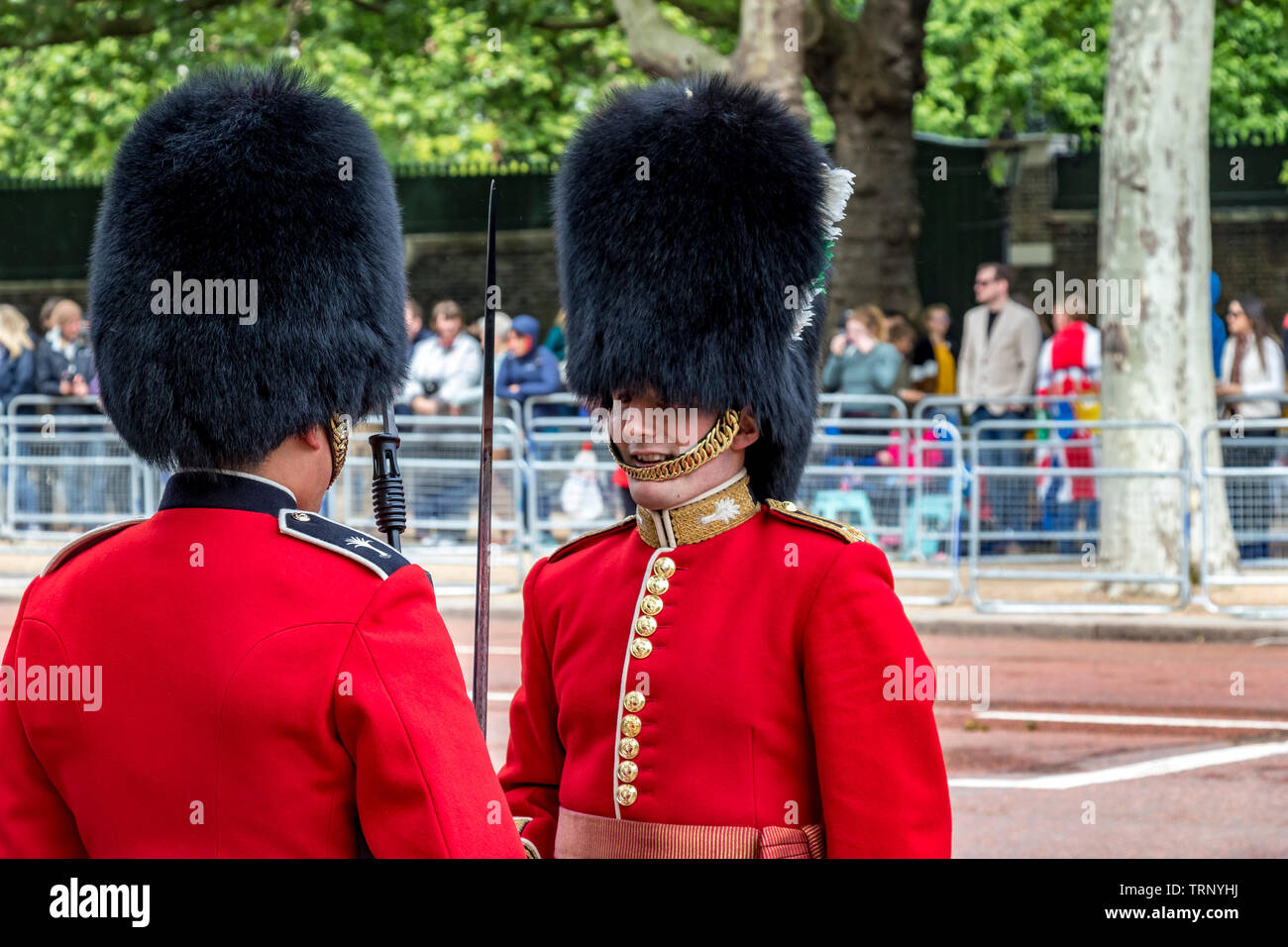 Officer of the welsh guards hi-res stock photography and images - Alamy