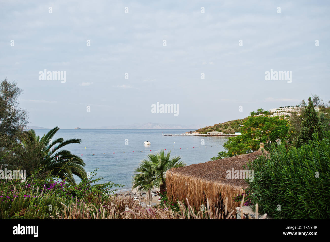 Beautiful tropical sea bay with palms. Scenic landscape with mountain ...