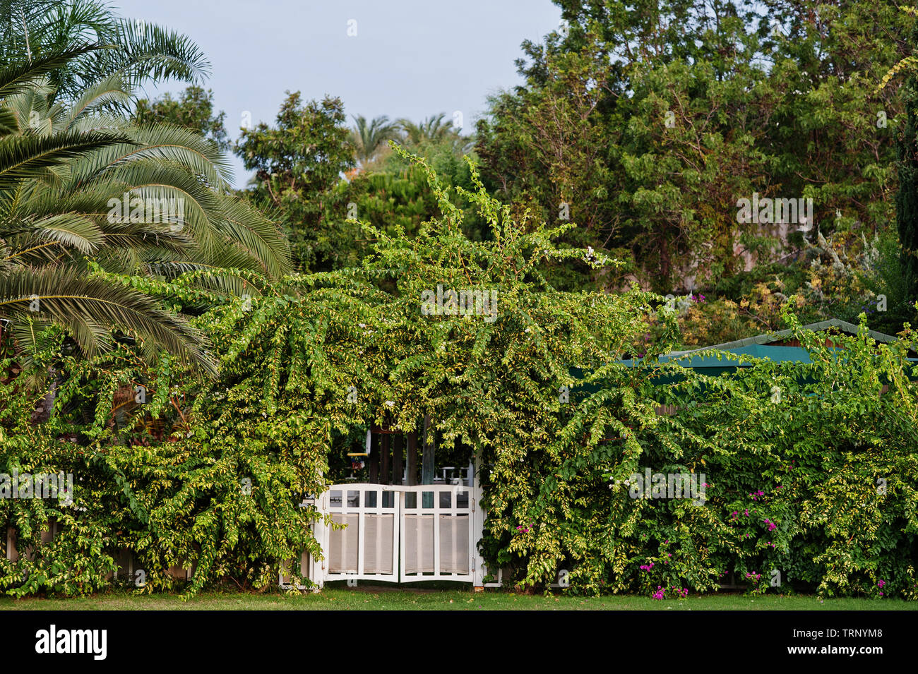 Entrance to beach gate trees hi-res stock photography and images - Alamy