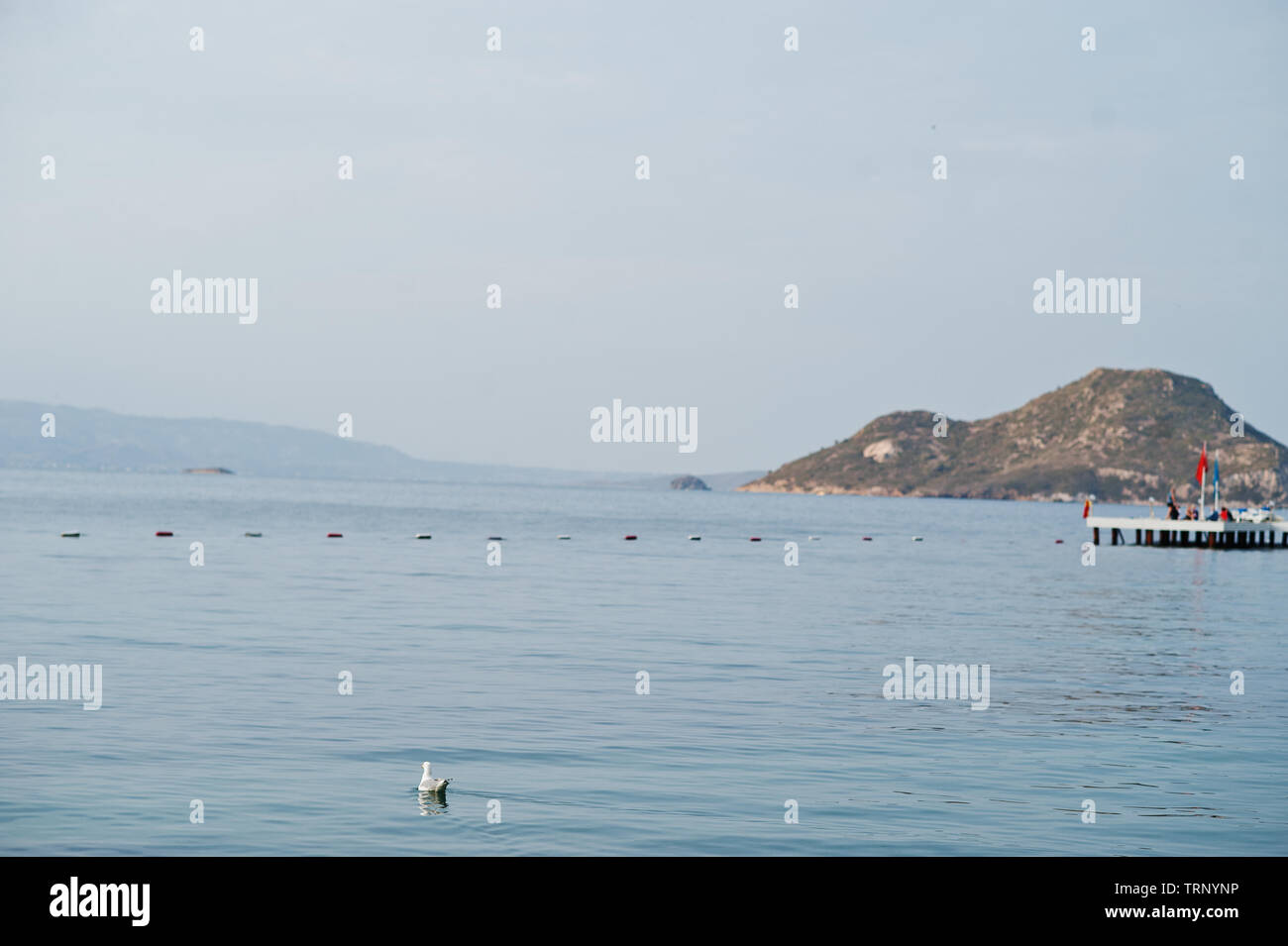 Alone island. Scenic landscape with mountain islands and blue lagoon on ...