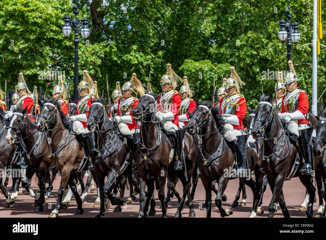 Uniform of the household cavalry hi-res stock photography and images ...