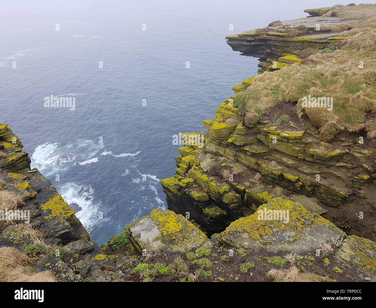 Marwick Head Orkney Islands Stock Photo - Alamy