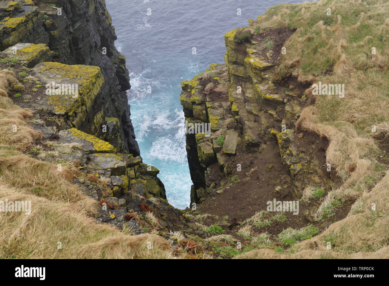 Marwick Head Orkney Islands Stock Photo - Alamy