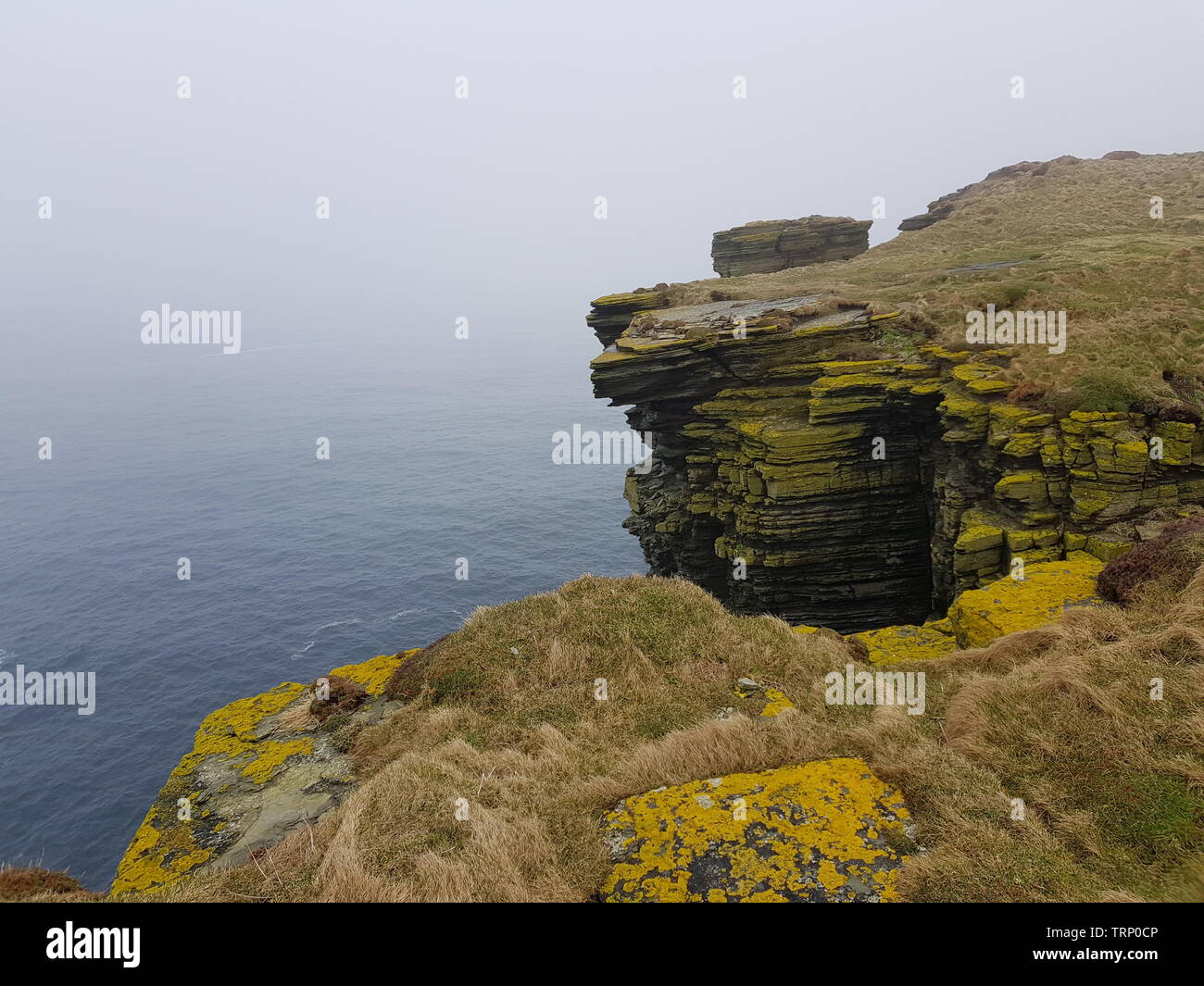 Marwick Head Orkney Islands Stock Photo - Alamy
