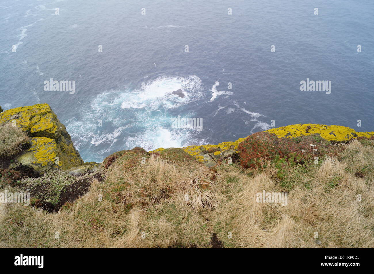 Marwick Head Orkney Islands Stock Photo - Alamy