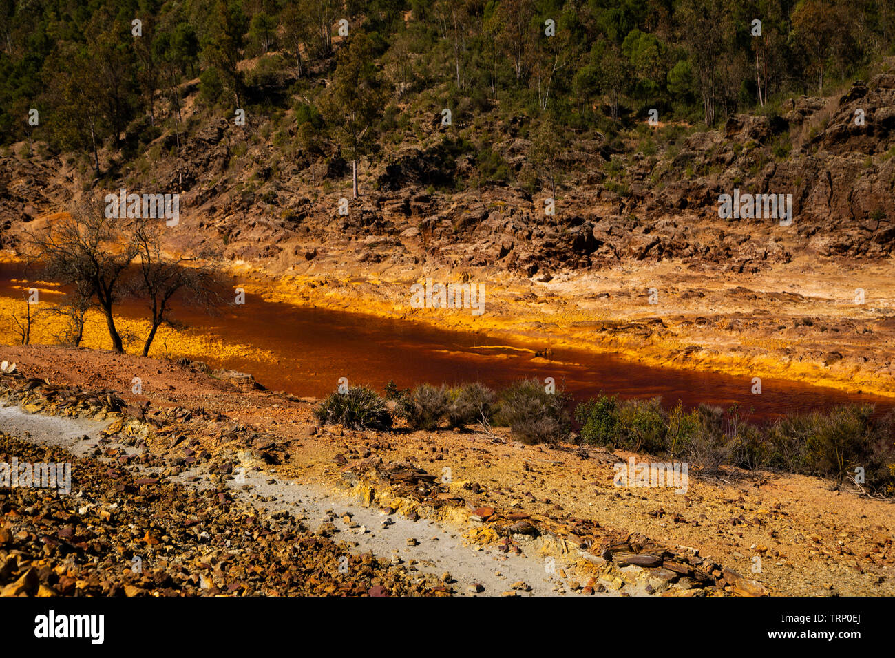 Beautiful landscape in Rio Tinto with forest at background Stock Photo ...