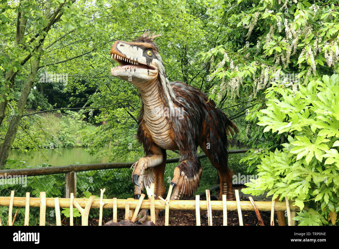 A world first predators exhibition at Chester zoo Stock Photo - Alamy