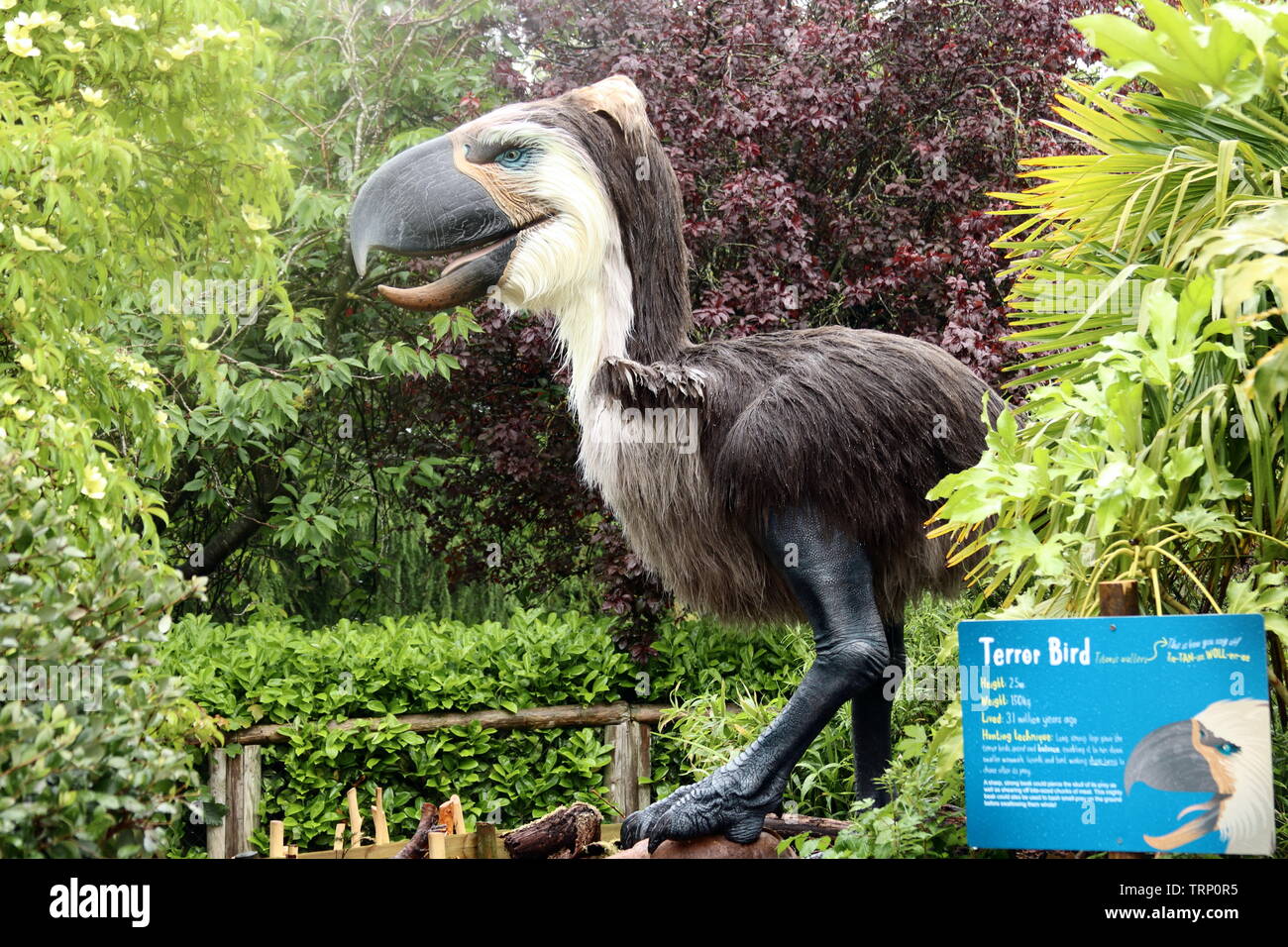 A world first predators exhibition at Chester zoo Stock Photo - Alamy