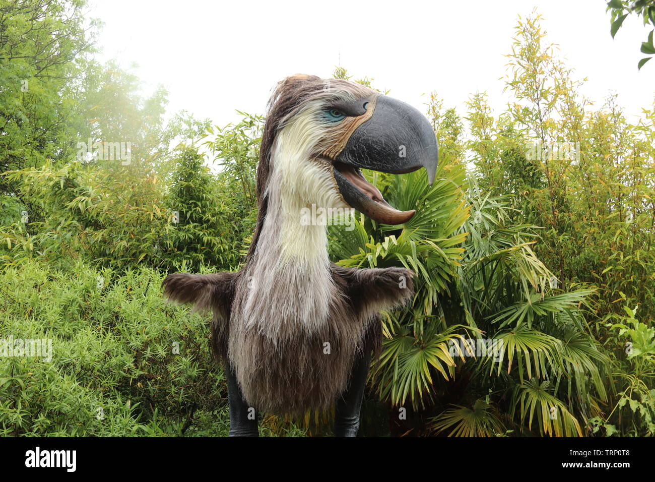 A world first predators exhibition at Chester zoo Stock Photo - Alamy