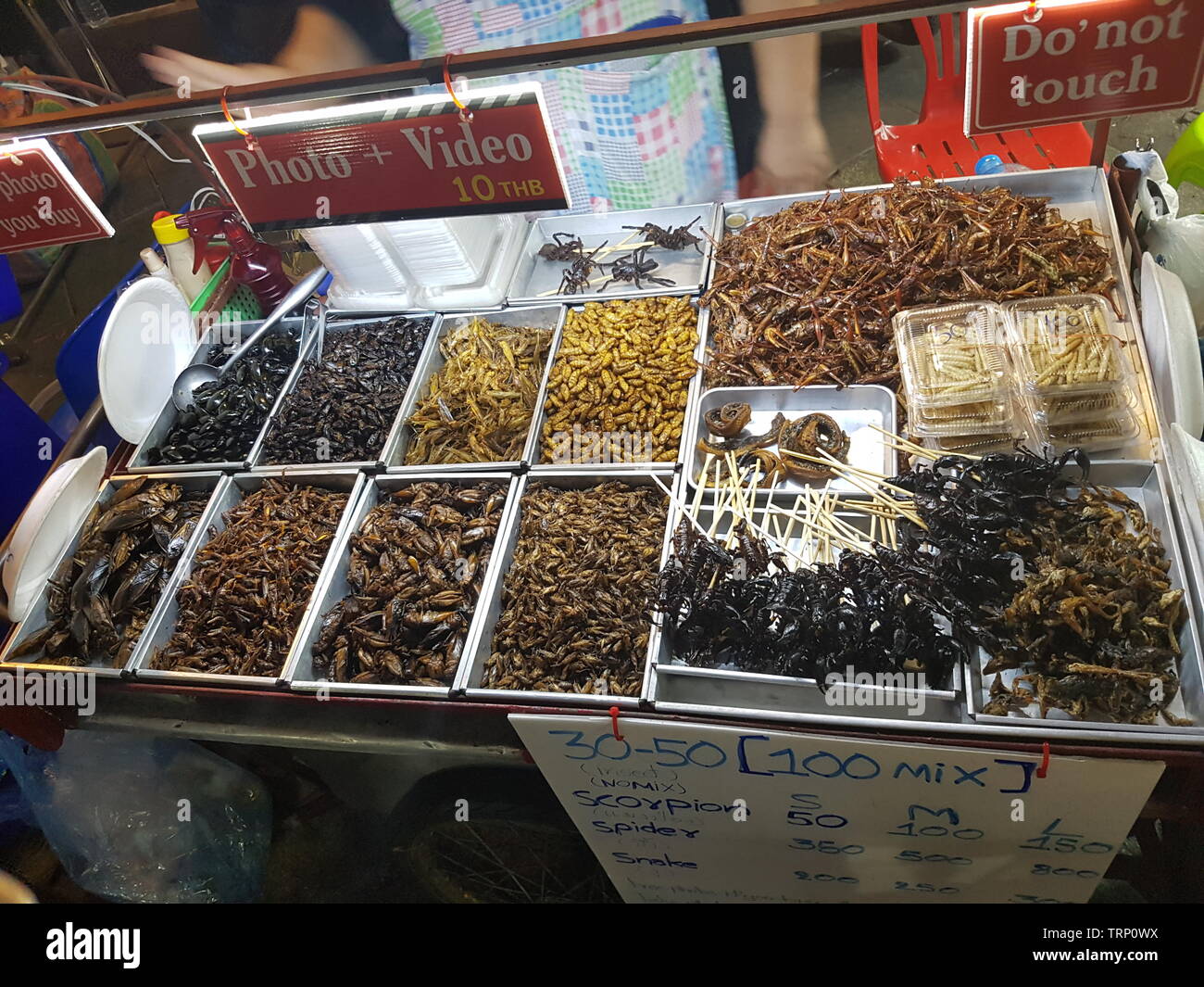 Scorpion eat hi-res stock photography and images - Alamy