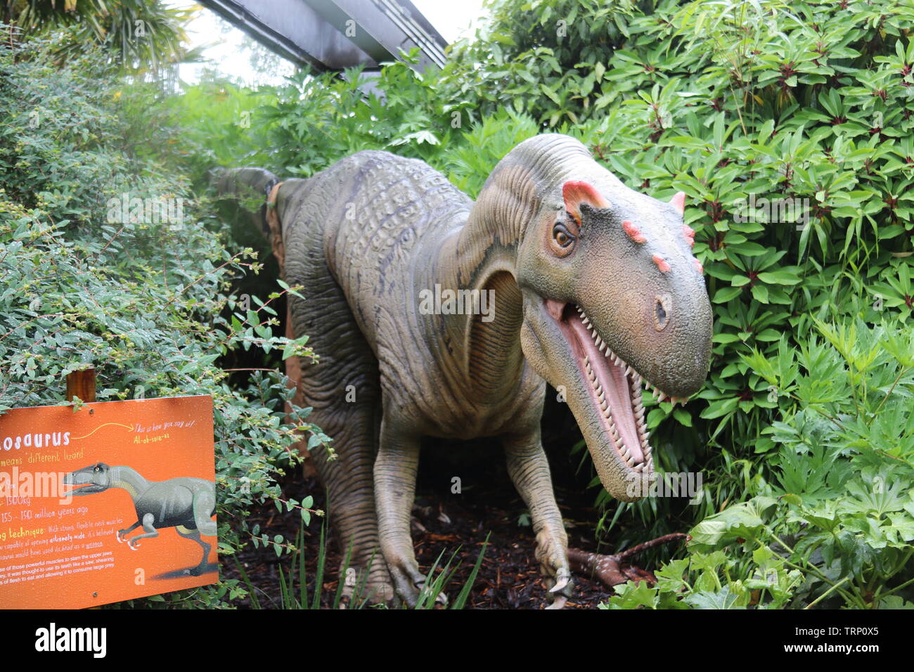 A world first predators exhibition at Chester zoo Stock Photo - Alamy