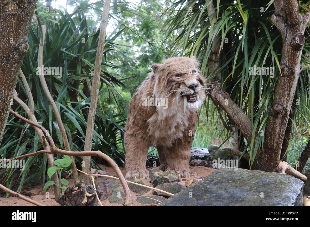 A world first predators exhibition at Chester zoo Stock Photo - Alamy