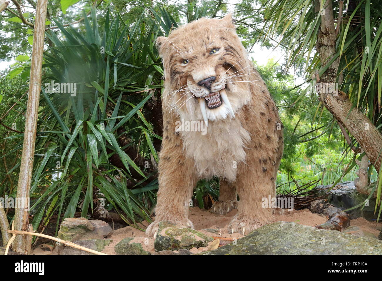 Chester zoo dinosaur exhibition hi-res stock photography and images - Alamy