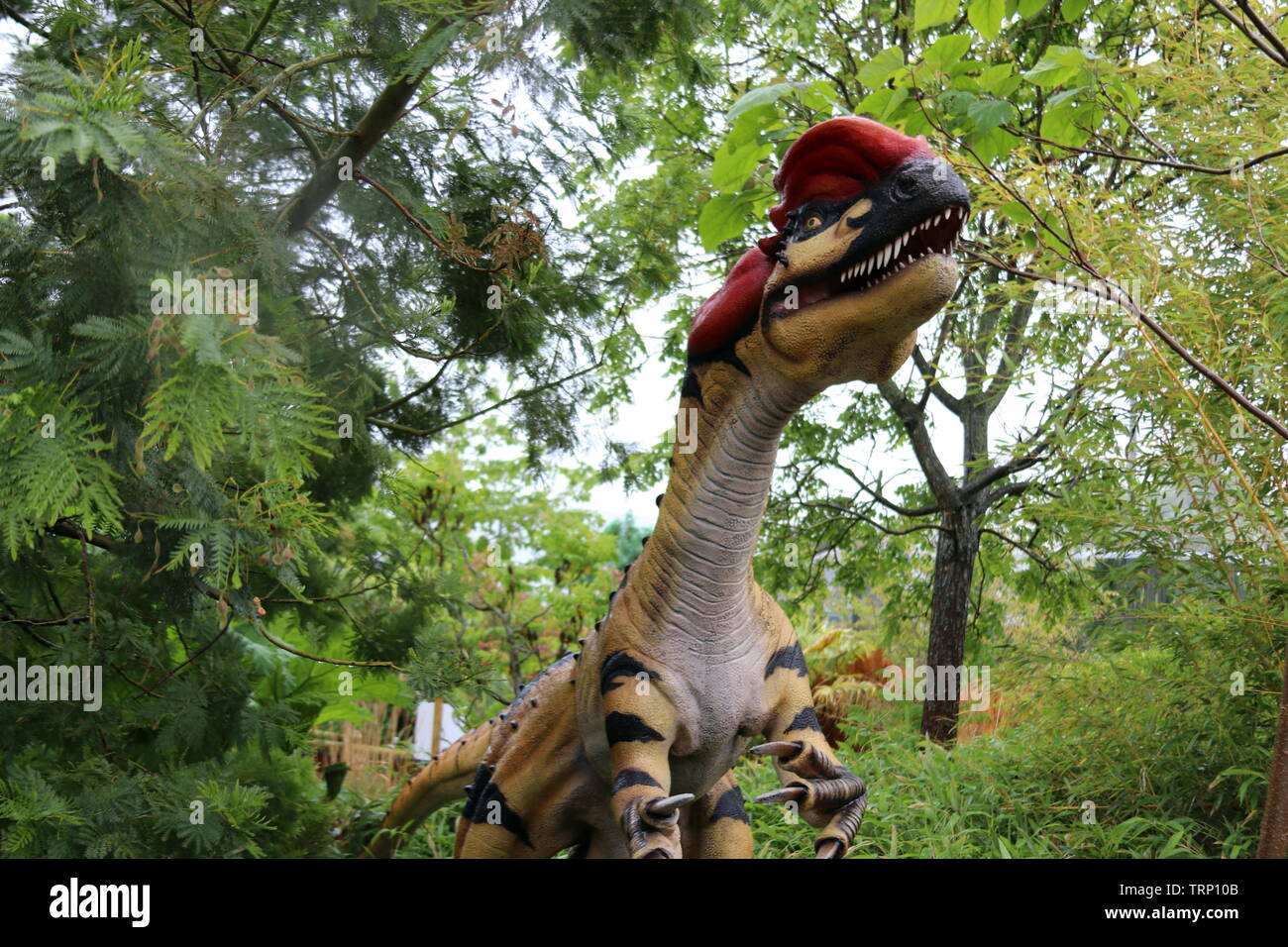 A world first predators exhibition at Chester zoo Stock Photo - Alamy