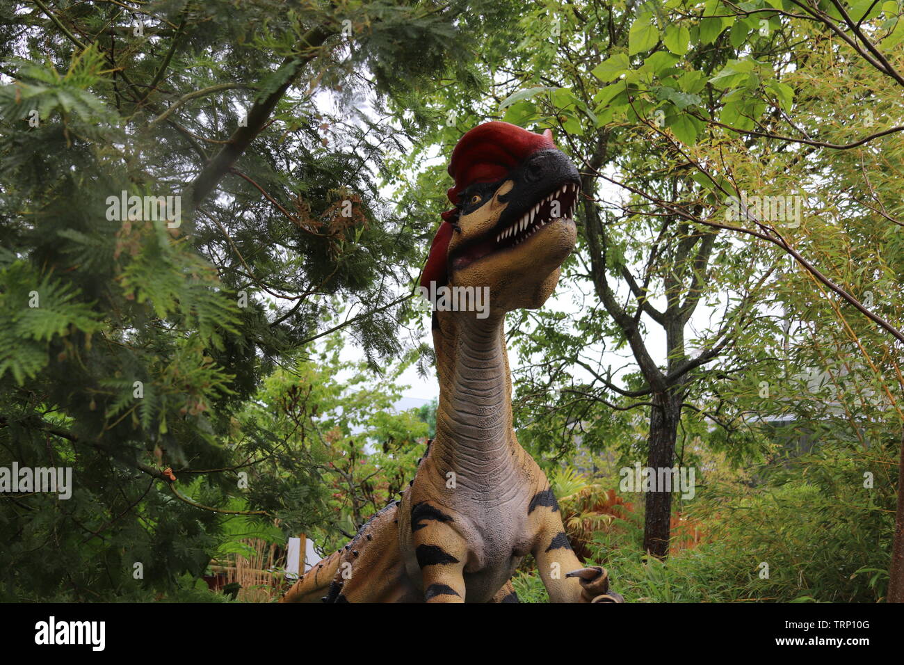 A world first predators exhibition at Chester zoo Stock Photo - Alamy