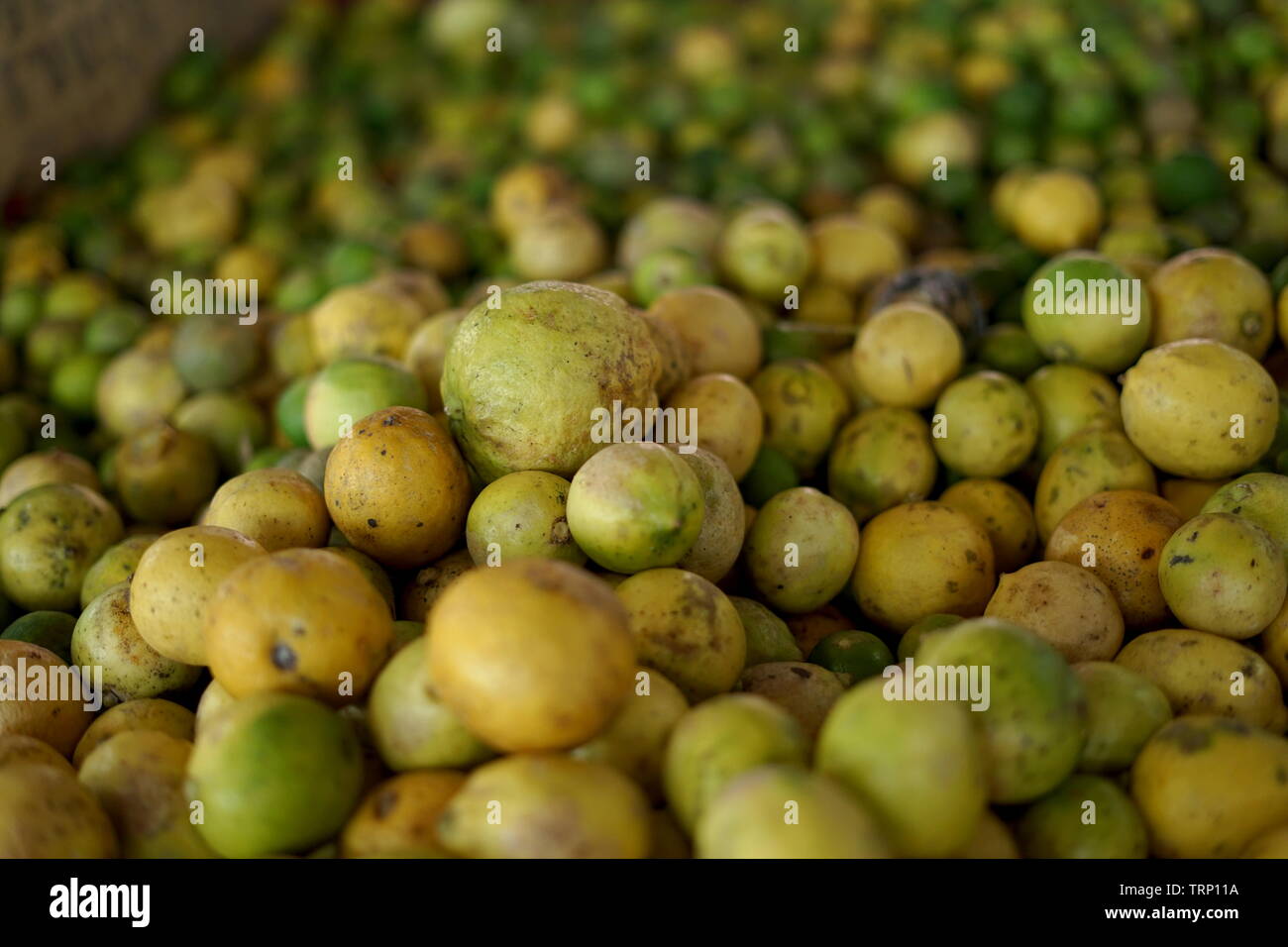 Bunch of Yellow lemon at traditional market Stock Photo - Alamy