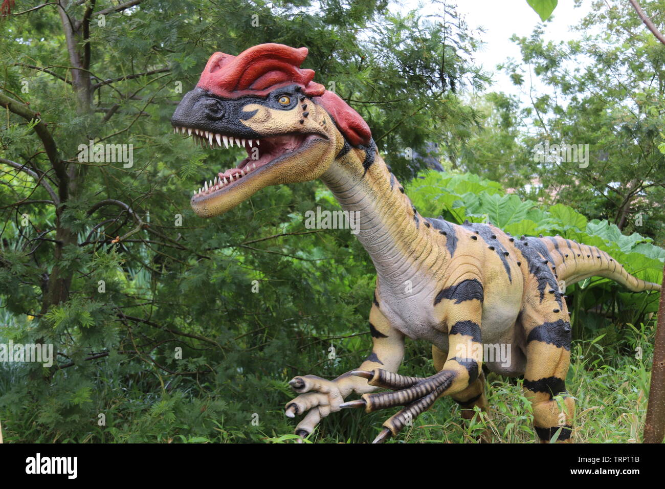 A world first predators exhibition at Chester zoo Stock Photo - Alamy