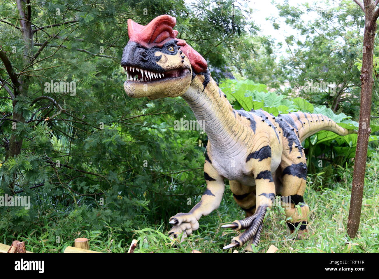 A world first predators exhibition at Chester zoo Stock Photo - Alamy