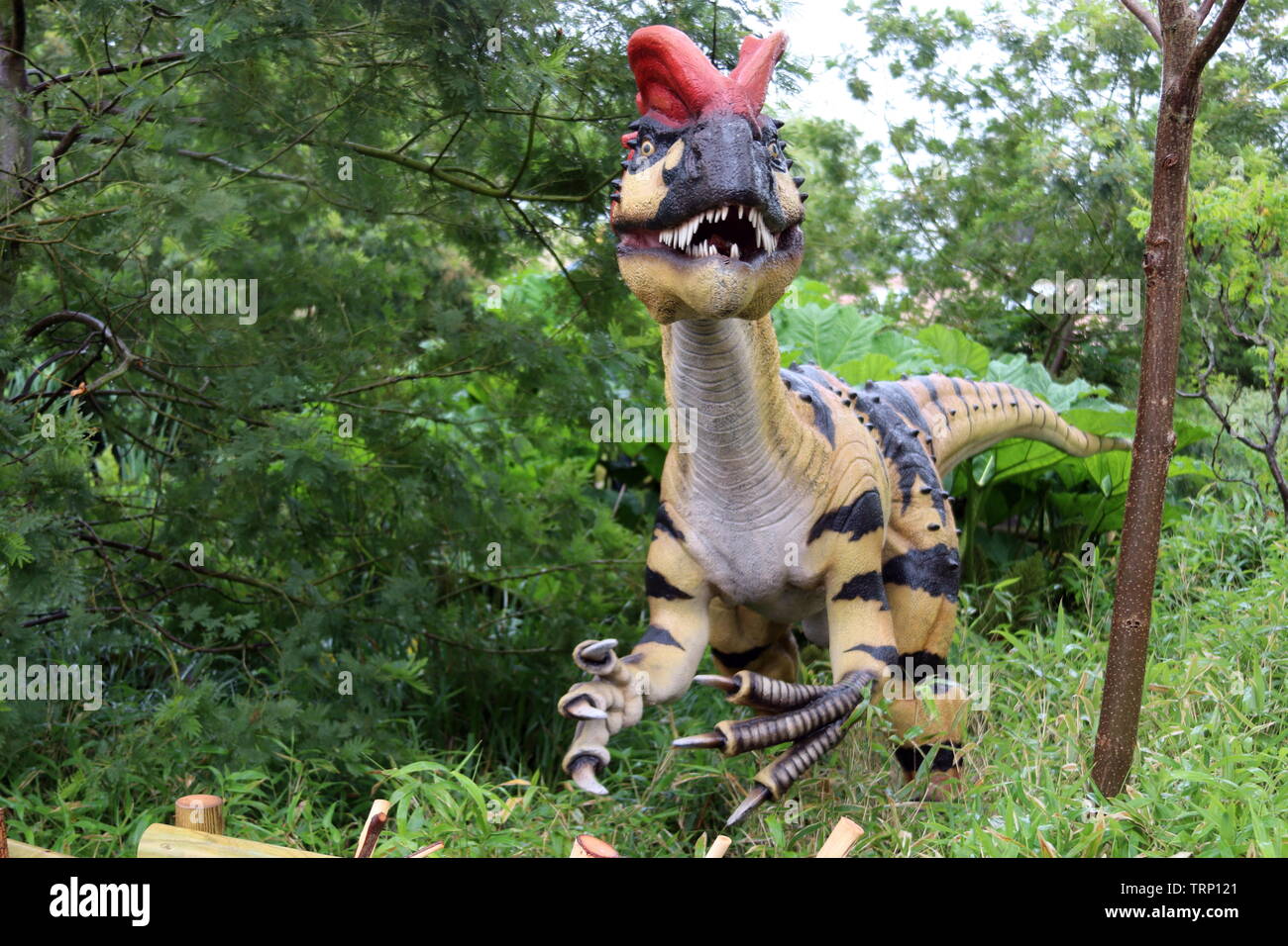 A world first predators exhibition at Chester zoo Stock Photo - Alamy