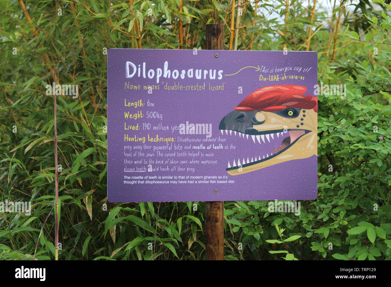 A world first predators exhibition at Chester zoo Stock Photo - Alamy