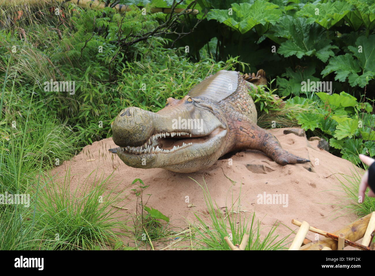 Chester Zoo Dinosaur Exhibition High Resolution Stock Photography and ...
