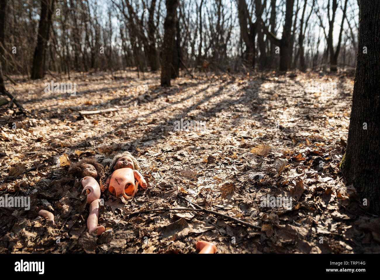 Chernobyl radiation hi-res stock photography and images - Alamy
