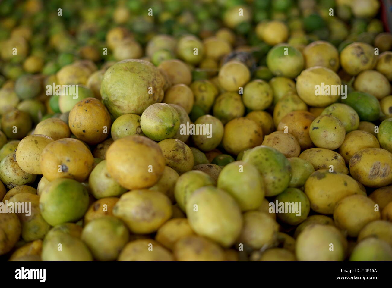 Bunch of Yellow lemon at traditional market Stock Photo - Alamy