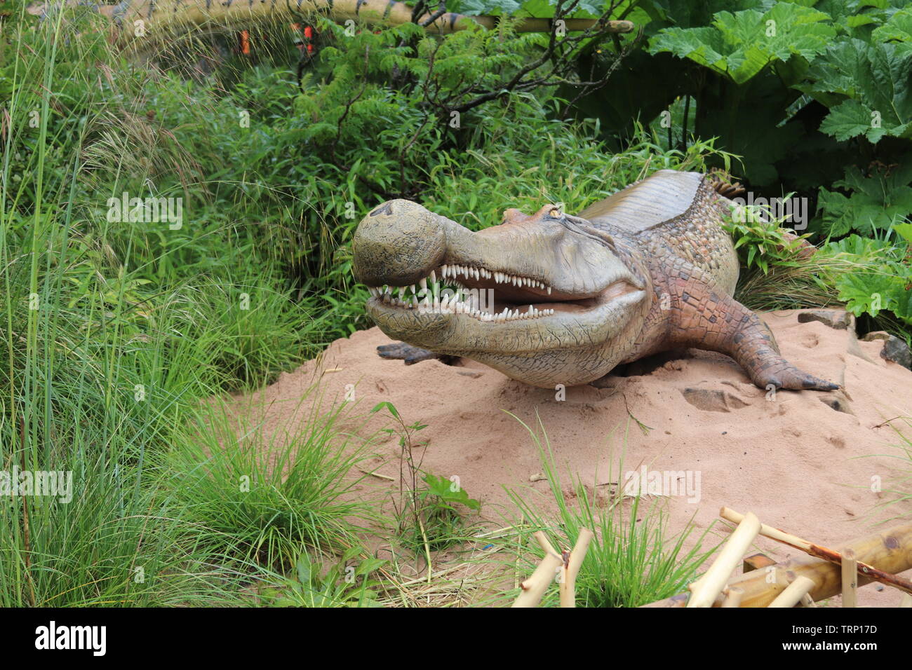 A world first predators exhibition at Chester zoo Stock Photo - Alamy