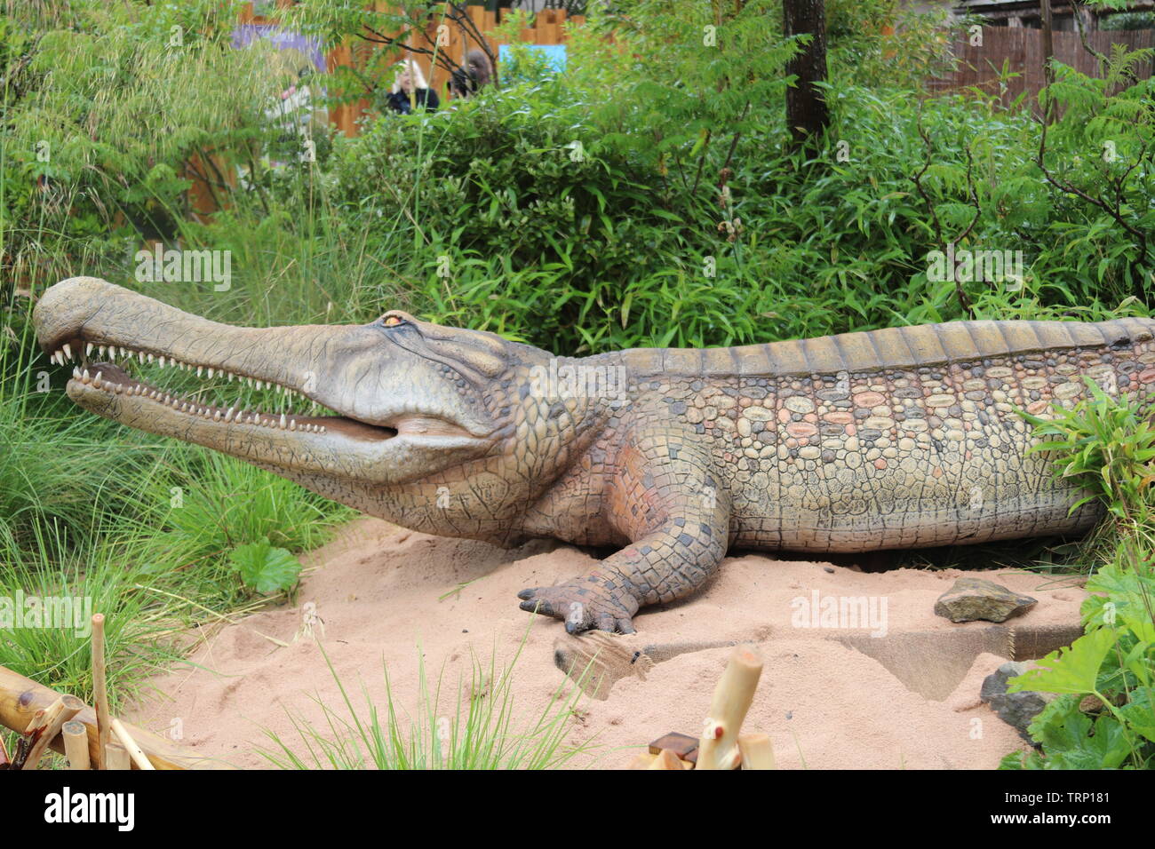 A world first predators exhibition at Chester zoo Stock Photo - Alamy