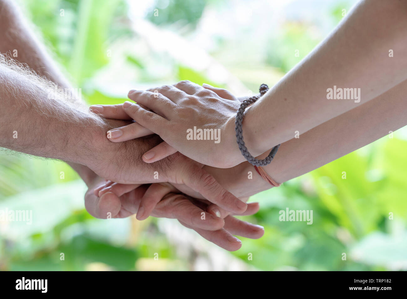 Arm stacked together one by one in unity and teamwork. Many hands ...