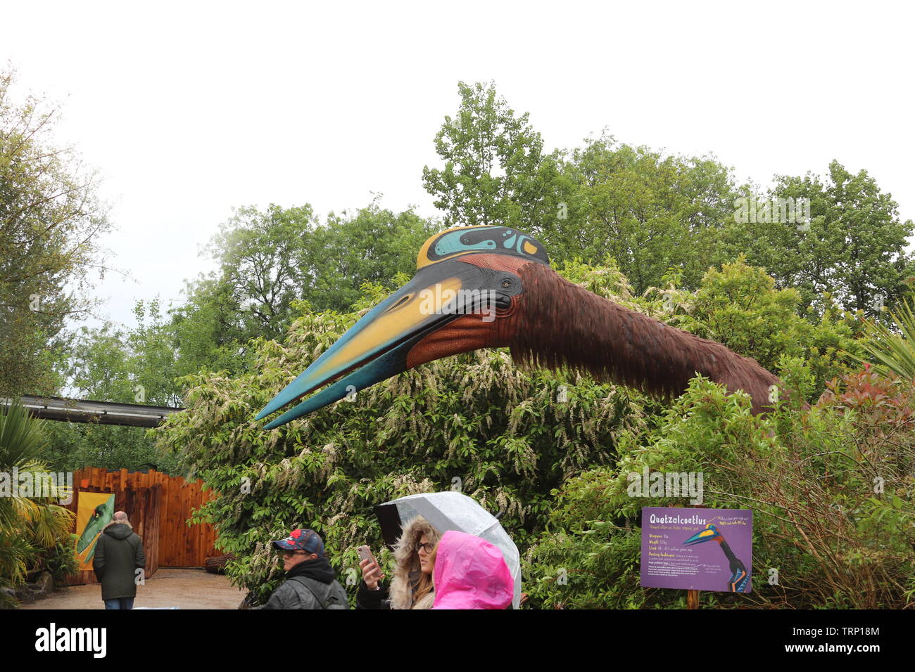 A world first predators exhibition at Chester zoo Stock Photo - Alamy