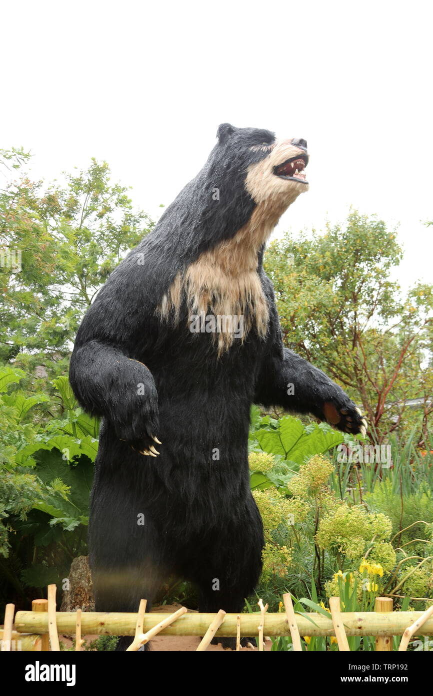 A world first predators exhibition at Chester zoo Stock Photo - Alamy