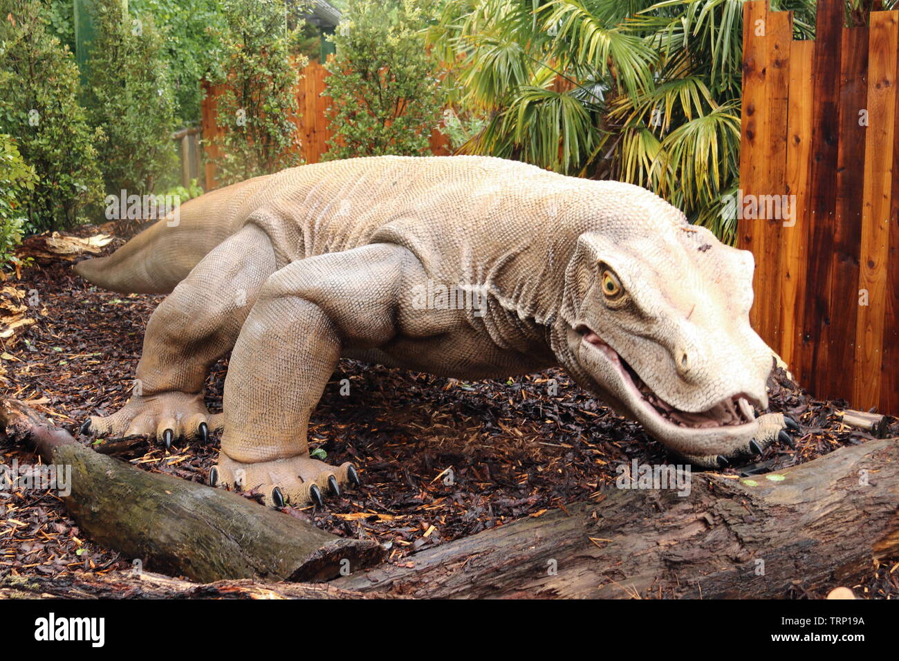 Chester Zoo Dinosaur Exhibition High Resolution Stock Photography and ...
