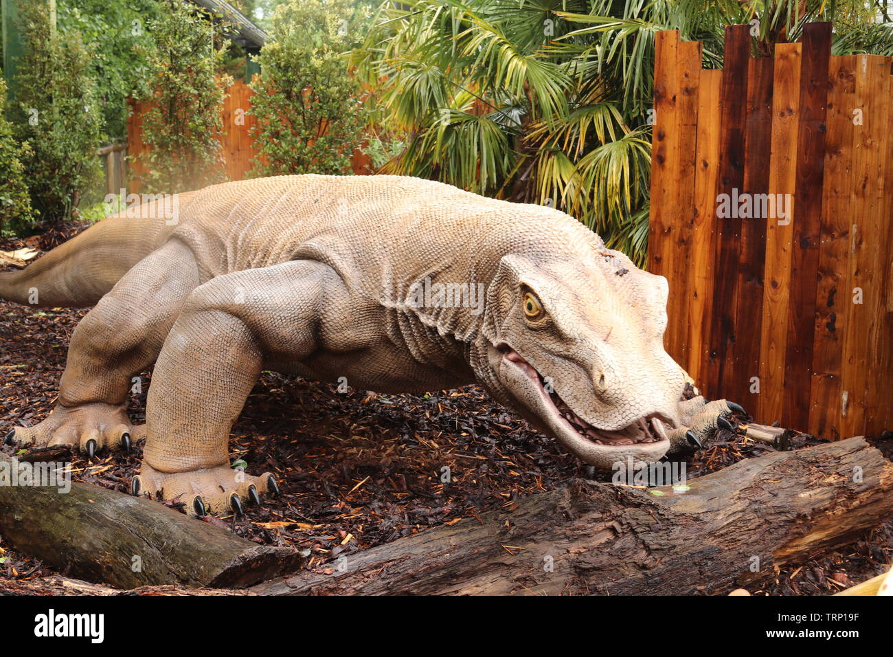 Chester Zoo Dinosaur Exhibition High Resolution Stock Photography and ...