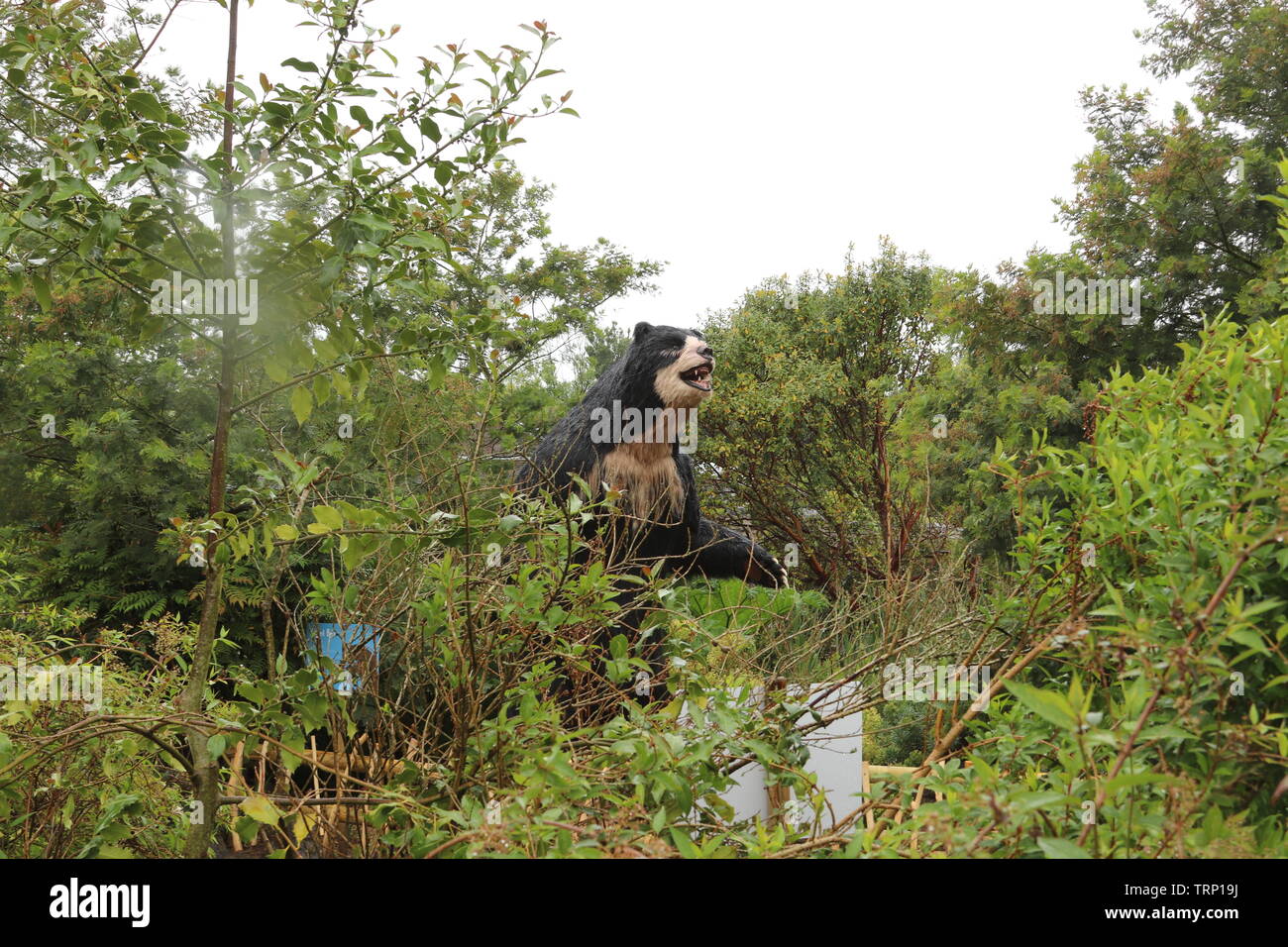 A world first predators exhibition at Chester zoo Stock Photo - Alamy