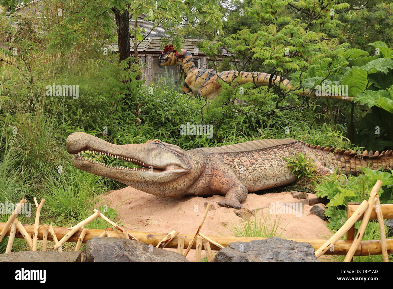 Chester Zoo Dinosaur Exhibition High Resolution Stock Photography and ...