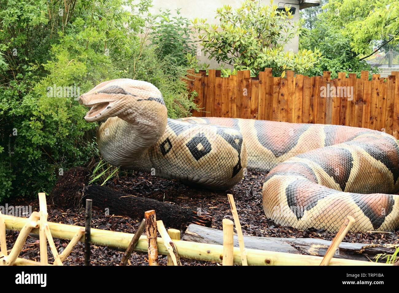 A world first predators exhibition at Chester zoo Stock Photo - Alamy