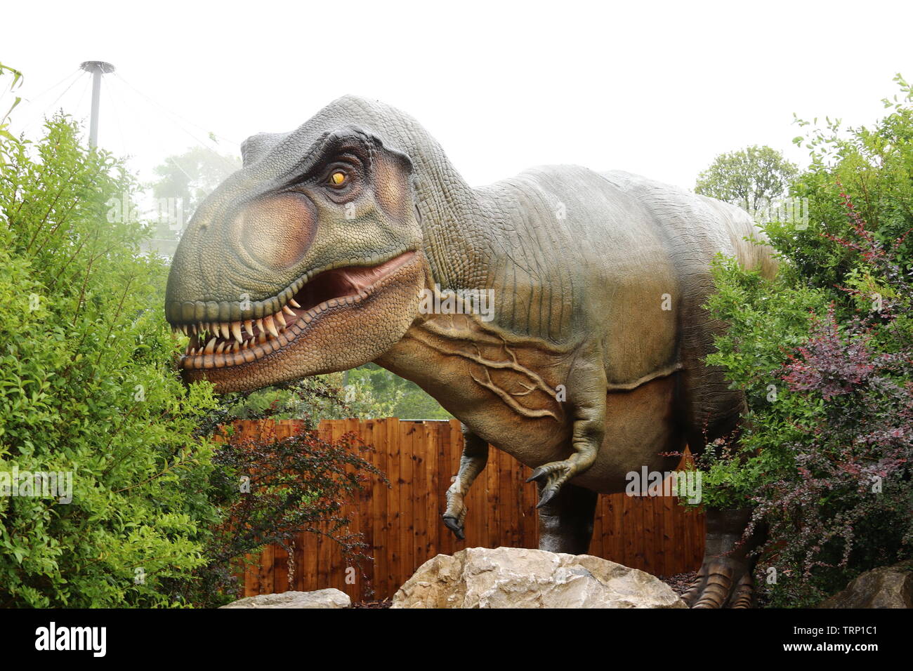 A world first predators exhibition at Chester zoo Stock Photo - Alamy