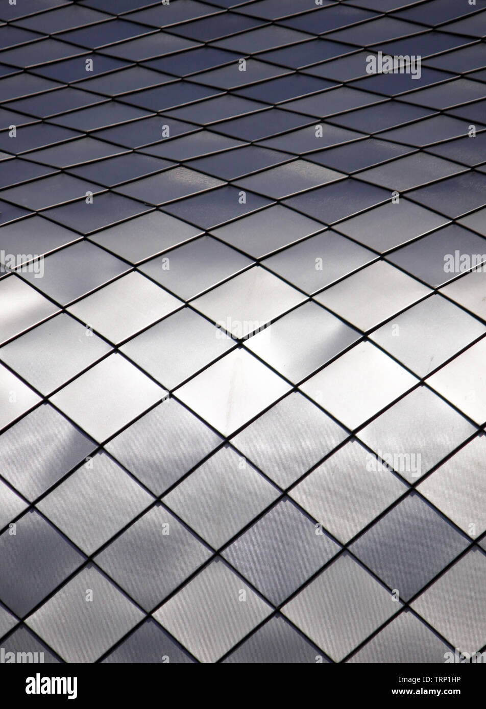 Snake Skin Roof Stock Photo - Alamy
